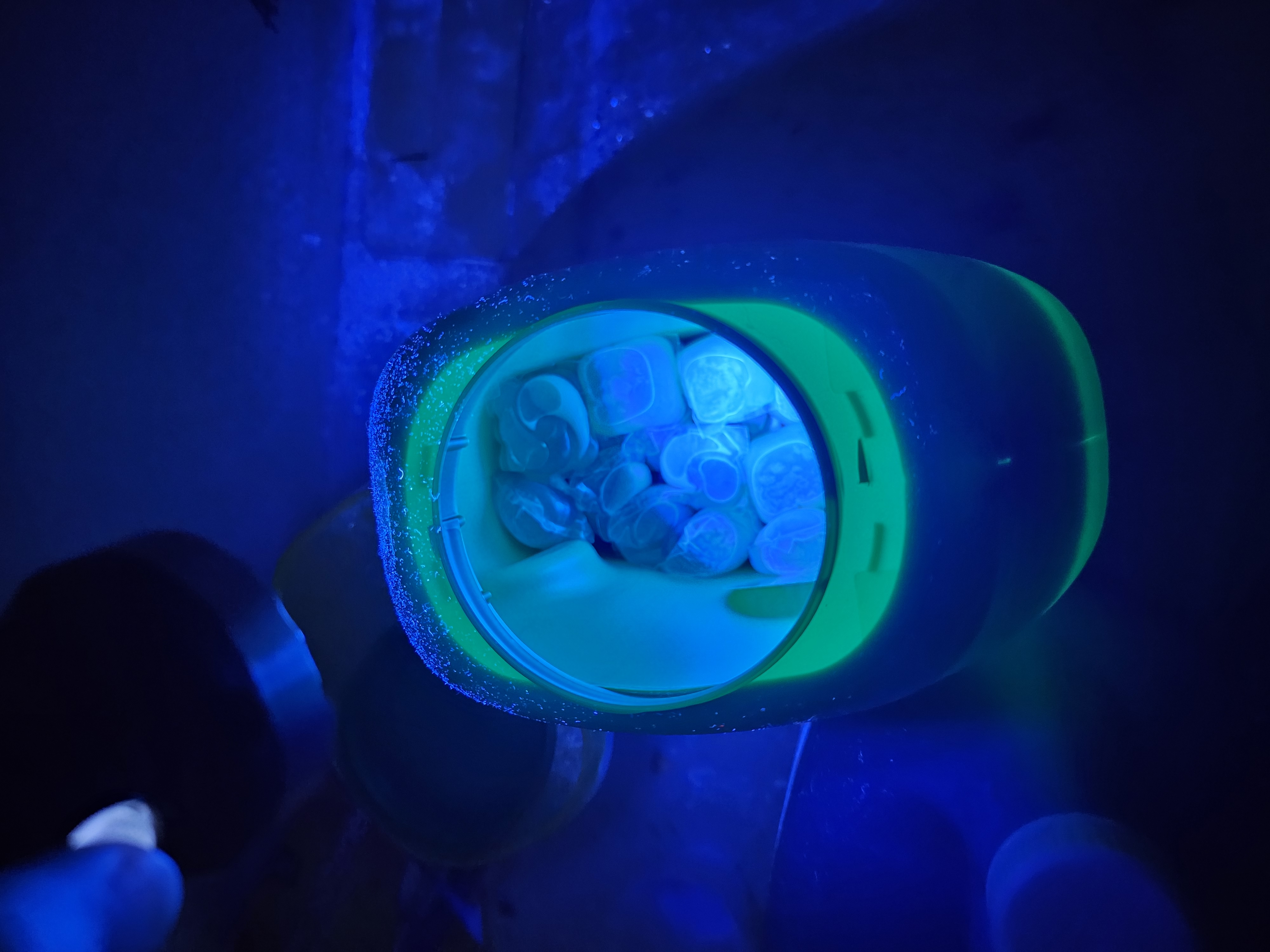 Do stains come in different colors if shown under UV light? : r/flashlight